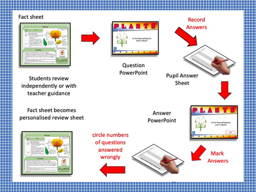 Plant Anatomy Life Cycle and Photosynthesis Quiz-Based Revision Lesson ...