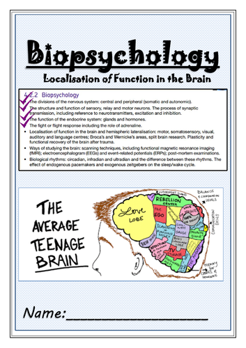 AQA A Level Psychology Year 2 - Biopsychology - Brain Localisation ...
