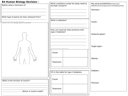 EDEXCEL ENTRY LEVEL CERTIFICATE (ELC) B4 HUMAN BIOLOGY REVISION - 5 ...