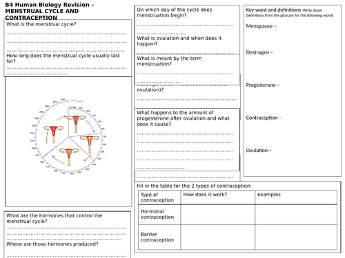 EDEXCEL ENTRY LEVEL CERTIFICATE (ELC) B4 HUMAN BIOLOGY REVISION - 5 ...