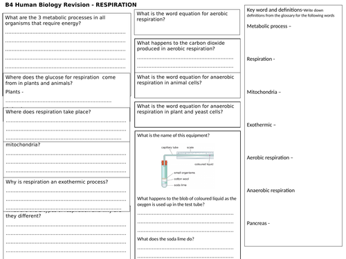 EDEXCEL ENTRY LEVEL CERTIFICATE (ELC) B4 HUMAN BIOLOGY REVISION - 5 ...