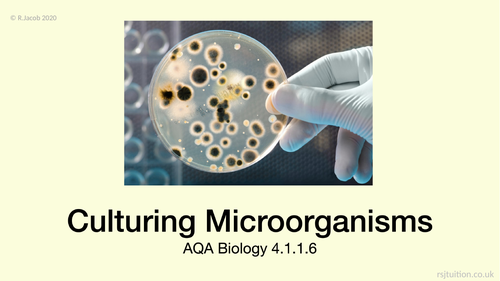 Culturing Microorganisms GCSE Separate Biology | Teaching Resources