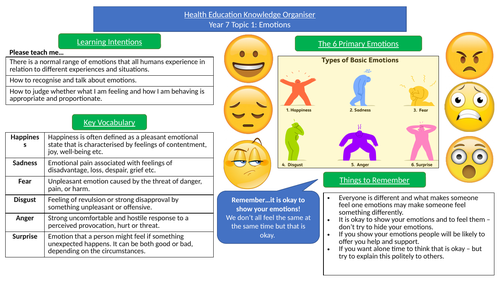 Year 7 PSHE / Health Education Knowledge Organiser Bundle | Teaching ...