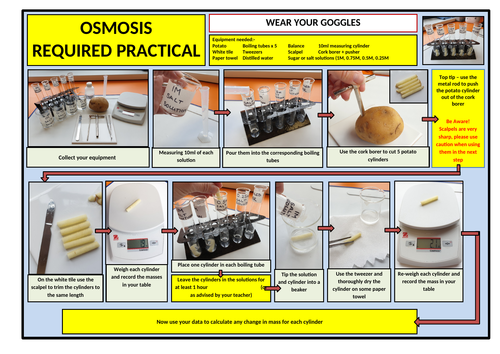Osmosis Required Practical Instruction Sheet (potato cells) | Teaching ...