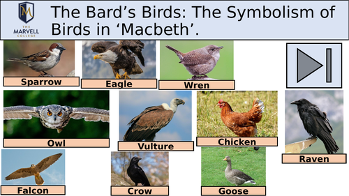 Symbolism of birds in 'Macbeth' | Teaching Resources