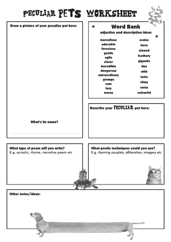 Peculiar Pets Poetry Writing Activity & Resources | Teaching Resources