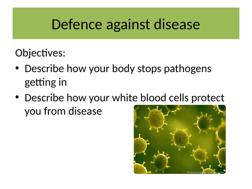 Defence against disease and white blood cells | Teaching Resources