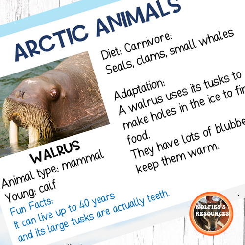 Arctic | Teaching Resources
