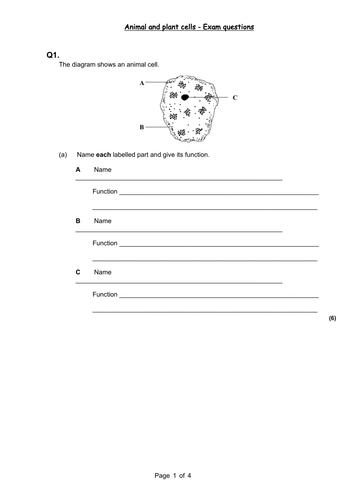 AQA GCSE (9-1) - Animal and plant cells | Teaching Resources