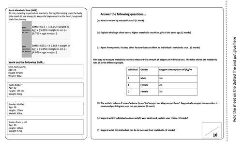 GCSE Biology: Metabolism Worksheet | Teaching Resources