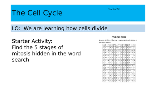 The Cell Cycle | Teaching Resources