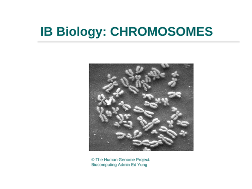 Genetics, The cell cycle, meiosis and a genetics booklet for IB and A ...