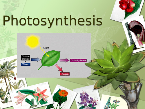 Biochemistry, including Macromolecules for IB and A Level ...