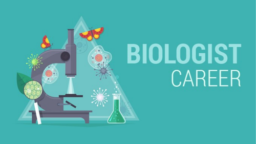 Biology careers | Teaching Resources