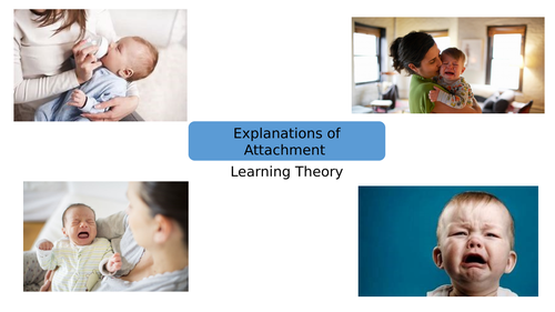AQA A - Level Psychology Attachment Year 12 (AS) | Teaching Resources