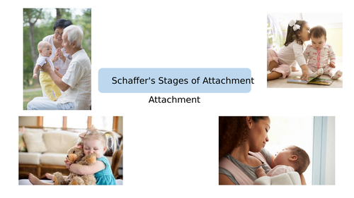 AQA A - Level Psychology Attachment Year 12 (AS) | Teaching Resources