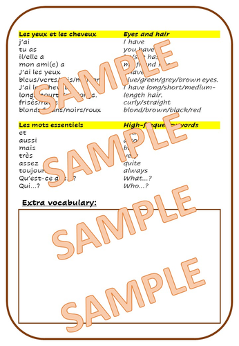 French Personal Information (Studio 1, Unit 1) | Teaching Resources