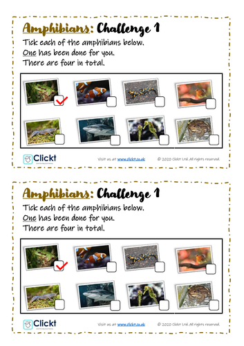 Year 1 Science: Animals, including humans: Amphibians | Teaching Resources