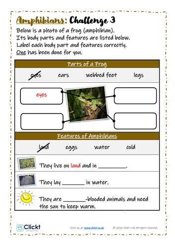 Year 1 Science: Animals, including humans: Amphibians | Teaching Resources