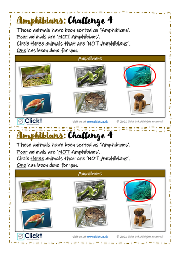 Year 1 Science: Animals, including humans: Amphibians | Teaching Resources
