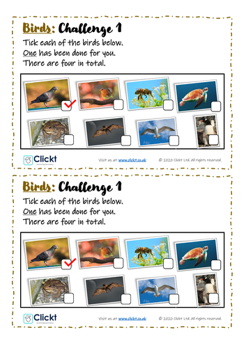 Year 1 Science: Animals, including humans: Birds | Teaching Resources