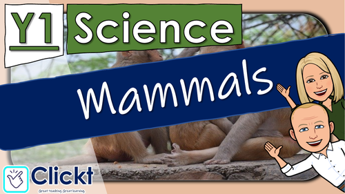 Year 1 Science: Animals, including humans: Mammals | Teaching Resources
