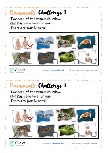 Year 1 Science: Animals, including humans: Mammals | Teaching Resources