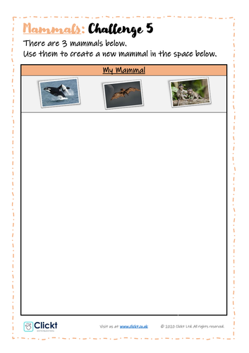 Year 1 Science: Animals, including humans: Mammals | Teaching Resources