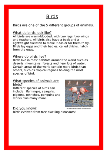 Differentiated Leaflet Mammals, Fish, Amphibians, Birds and Reptiles ...