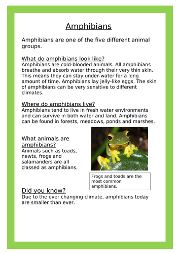Differentiated Leaflet Mammals, Fish, Amphibians, Birds and Reptiles ...