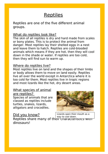 Differentiated Leaflet Mammals, Fish, Amphibians, Birds and Reptiles ...