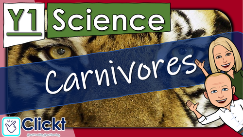 Year 1 Science: Animals, including humans: Carnivores | Teaching Resources