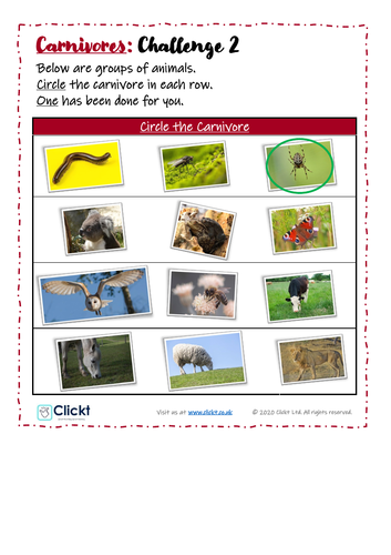 Year 1 Science: Animals, including humans: Carnivores | Teaching Resources