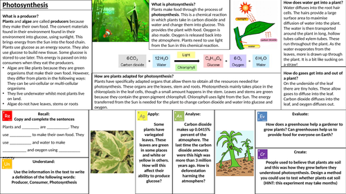 Photosynthesis | Teaching Resources