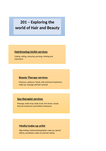 GCSE Hair and Beauty Revision Cards | Teaching Resources