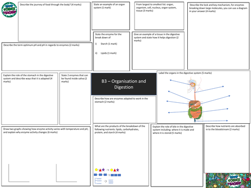 AQA GCSE 9-1 B3 Organisation and Digestion Revision Mat | Teaching Resources