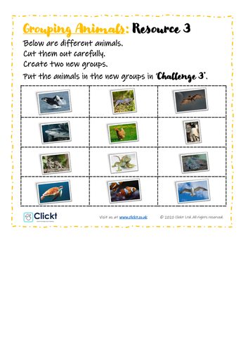 Year 1 Science: Animals, including humans: Grouping Animals | Teaching ...