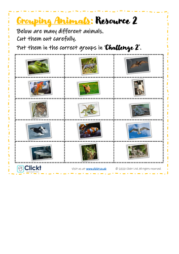 Year 1 Science: Animals, including humans: Grouping Animals | Teaching ...