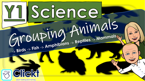 Year 1 Science: Animals, including humans: Grouping Animals | Teaching ...