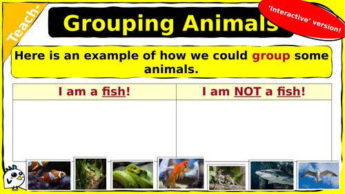 Year 1 Science: Animals, including humans: Grouping Animals | Teaching ...