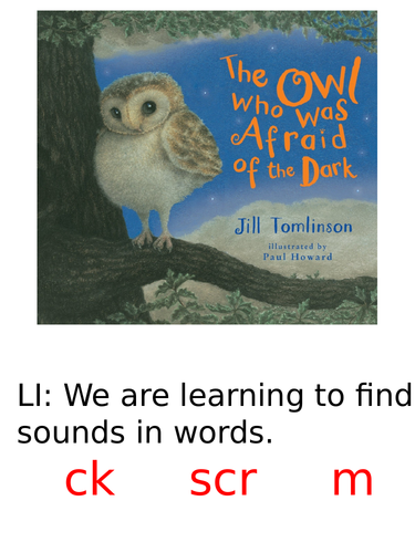 The Owl Who Was afraid of the Dark- Extensive Literacy Resources ...