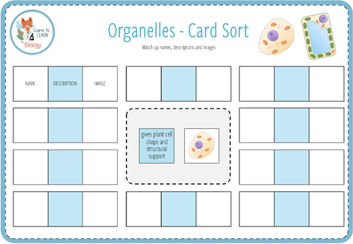 Organelles - Digital Card Sort (KS3/4) | Teaching Resources