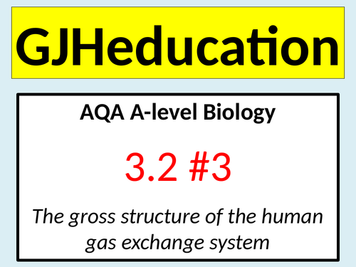 Human gas exchange system (AQA A-level Biology) | Teaching Resources