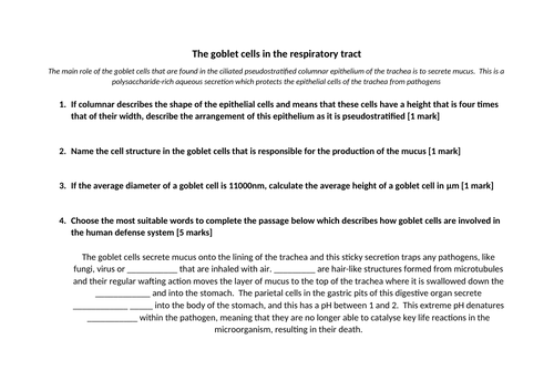 Human gas exchange system (AQA A-level Biology) | Teaching Resources