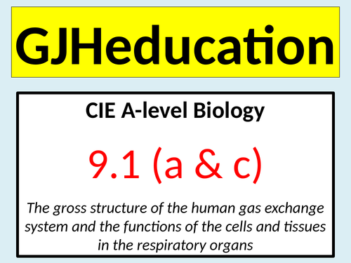 Gross structure of the human gas exchange system (CIE A-level Biology ...