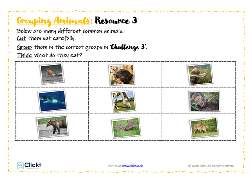 Year 1 Science: Animals, including humans: Grouping Carnivores etc ...