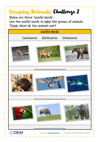 Year 1 Science: Animals, including humans: Grouping Carnivores etc ...