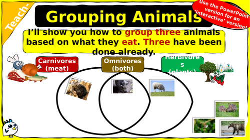Year 1 Science: Animals, including humans: Grouping Carnivores etc ...