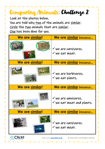 Year 1 Science: Animals, including humans: Comparing Carnivores etc ...