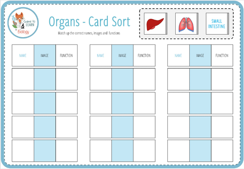 Organs - Digital Card Sort (KS3/4) | Teaching Resources